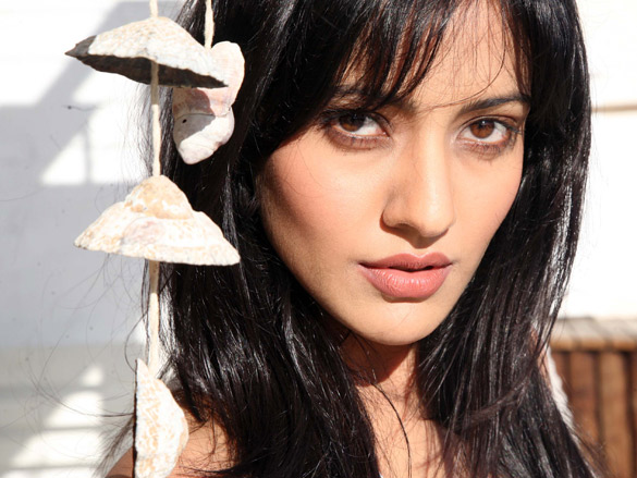 Neha Sharma Photos - Bollywood Hungama