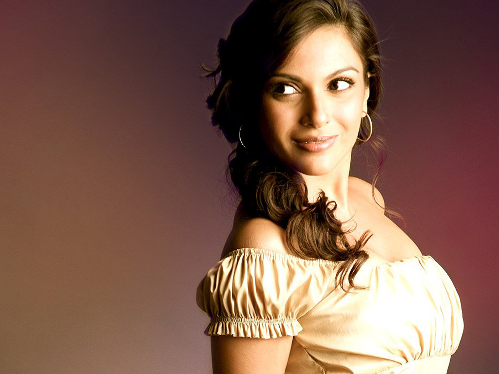 Mrinalini Sharma Wallpapers | mrinalini-sharma-4 - Bollywood Hungama