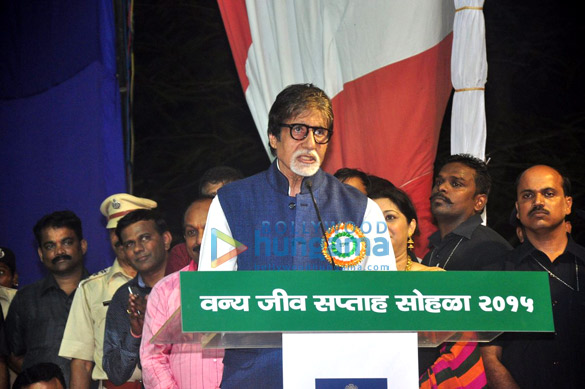Amitabh Bachchan appointed as Maharashtra’s Tiger ambassador | Amitabh ...