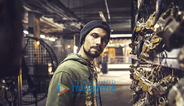 Sultan Movie: Review | Release Date (2016) | Songs | Music | Images ...